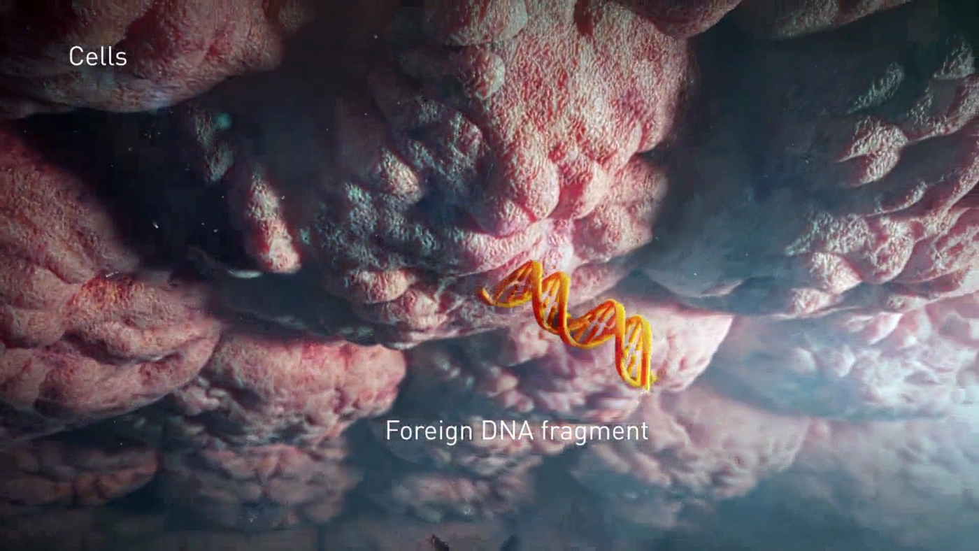 Animation Addressing 'Foreign DNA' Concerns Created by New APPC-VEC ...