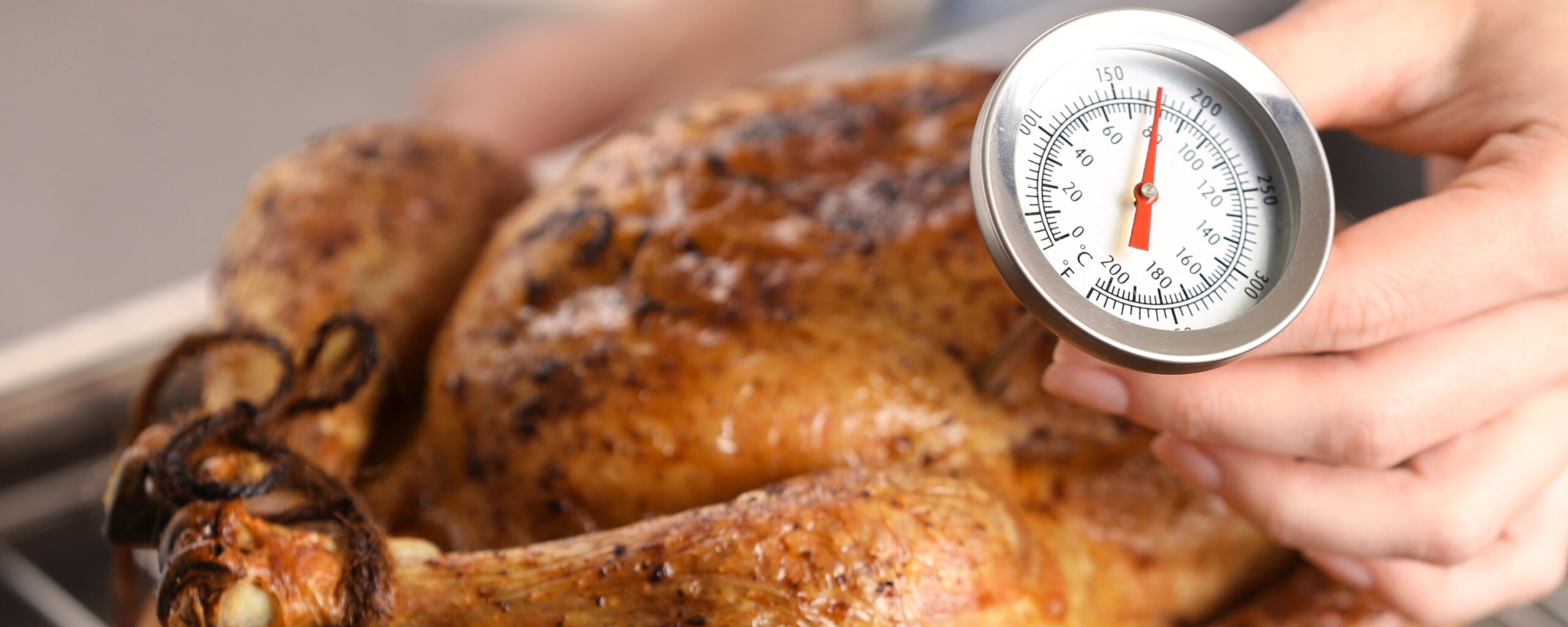 Despite Risk, Many Unsure of Temperature to Heat Food to Prevent ...