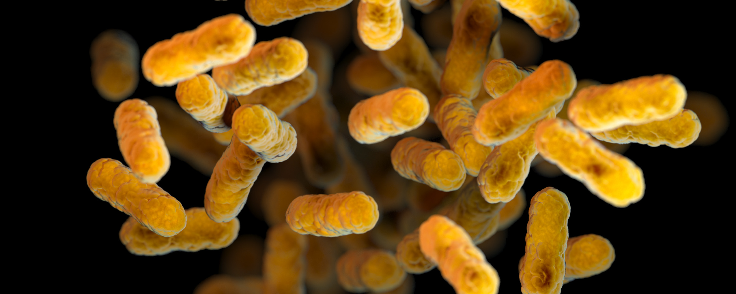 Cases of Whooping Cough Growing, but Knowledge About It Is Lacking ...